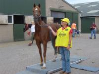 Monty R - Soul-Mate Nutrition